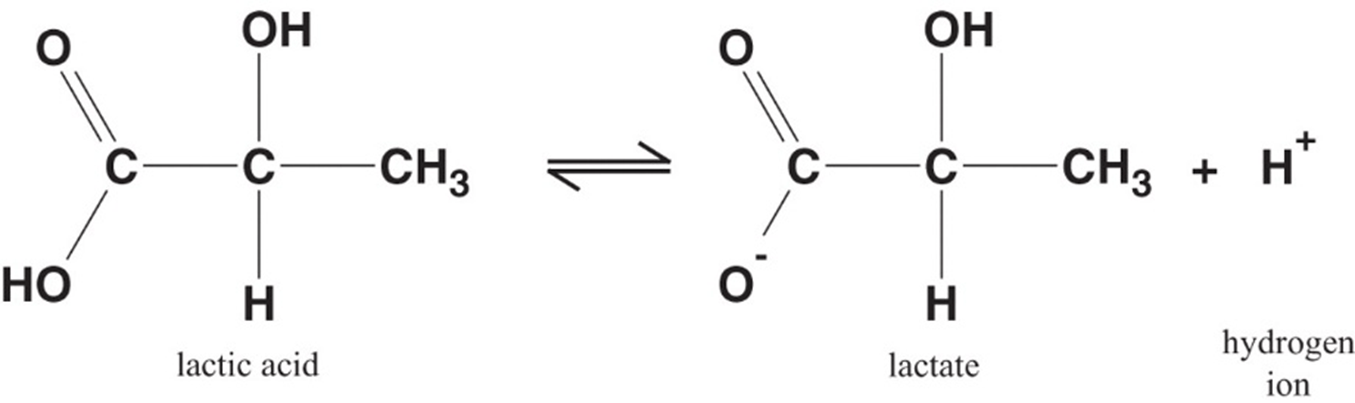 P - Nutrition & Metabolism - CICM Wrecks